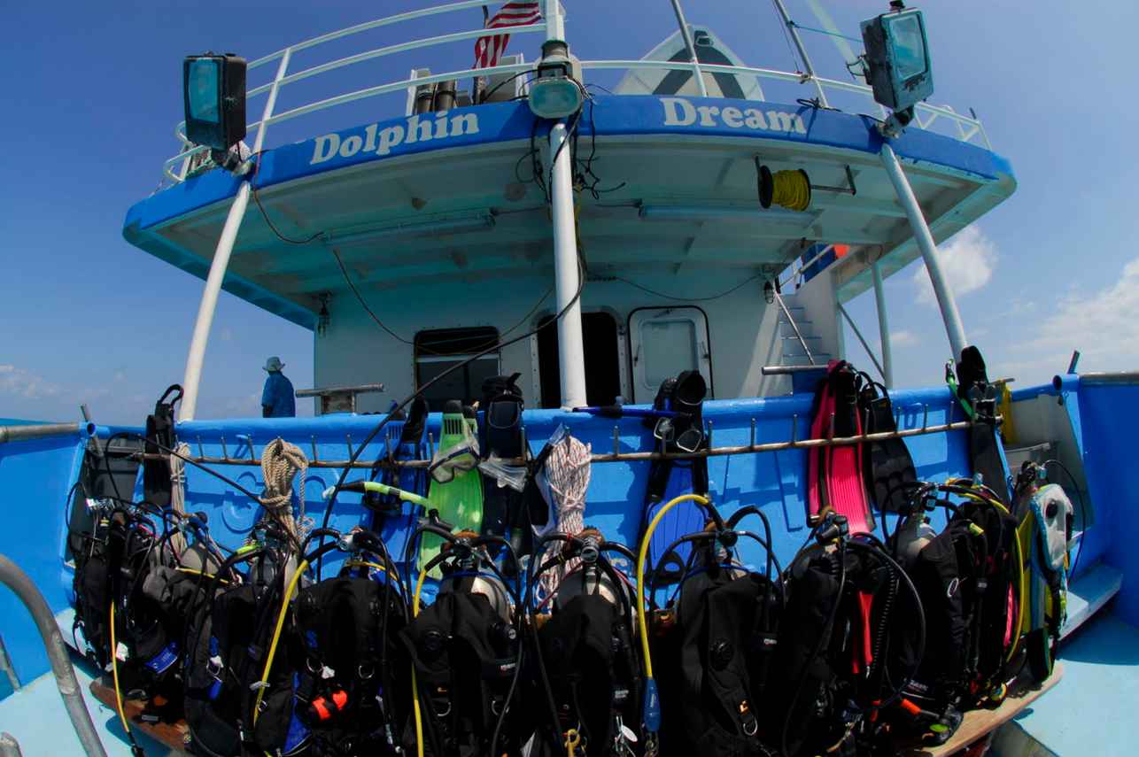 Dolphin Dream Liveaboard, Bahamas - LiveAboard.com